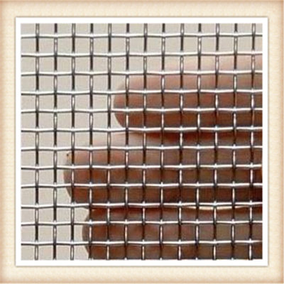 6 Mesh Electro Galvanized Square Wire Mesh Low Carbon Iron Sand Netting