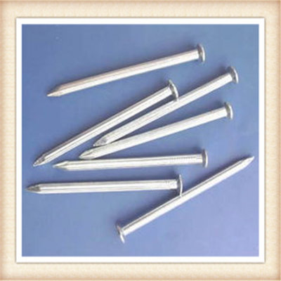 concrete nail/common nail/nail