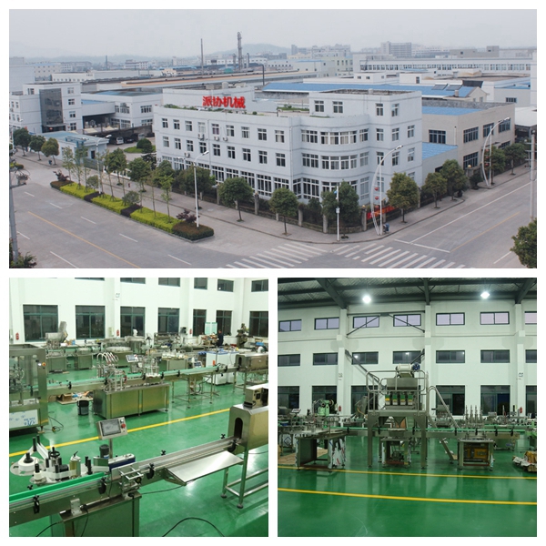 Shanghai Paixie Packing Machinery Co., Ltd.