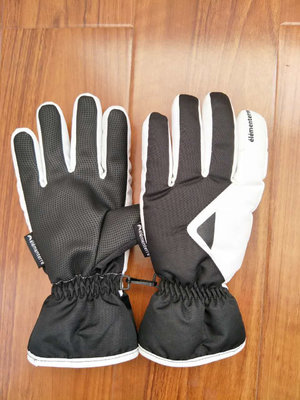Youth Waterproof Ski Gloves supplier