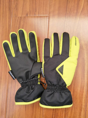 Youth Waterproof Ski Gloves supplier