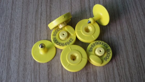 ISO11784/5 Fdx-B High Quality 134.2kHz RFID PIG Tags