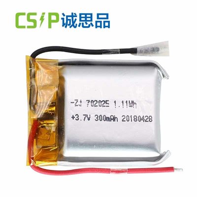 Dual IC Chips Rechargeable Lithium Polymer Battery Fast Charge Capacity