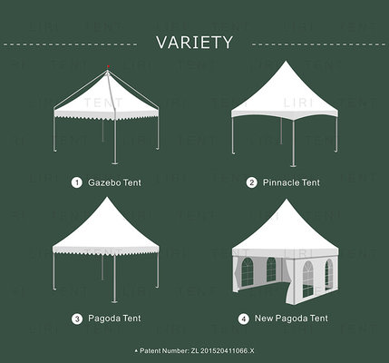 Custom Made Canopy Tent-Backyard Gazebo for Sport, Family party and Exhibition