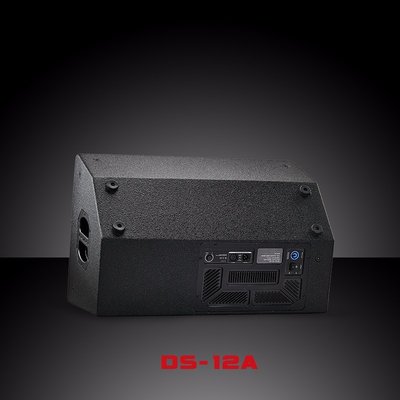 Top Sale 250W 12 inch Active Plywood Cabinet Speaker sale DS-12A