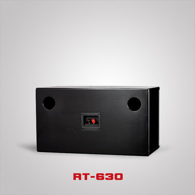 Professional Conference Roon Quality Pro Karaoke KTV Speaker Sound System RT-630
