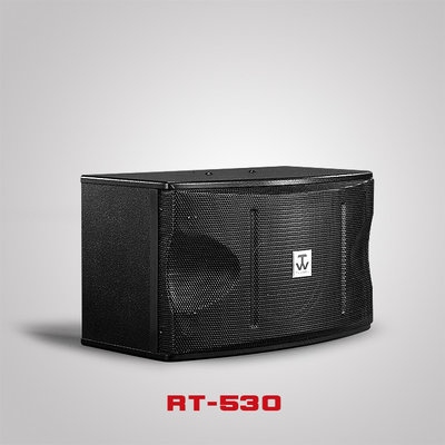 Professional 10 Inch 2-way Pro KTV Karaoke Conference Speaker Audio RT-530