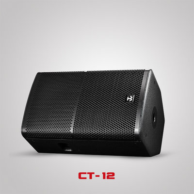 Professional 12inch DJ Professional Bass Speaker Plywood Sound System Box CT-12