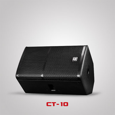 Professional New Powerful Top Pro Passive 2-way Full Range Audio Speaker CT-10