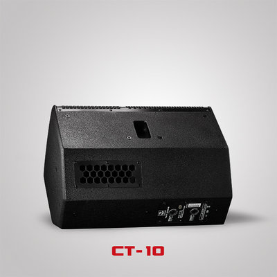 Professional New Powerful Top Pro Passive 2-way Full Range Audio Speaker CT-10
