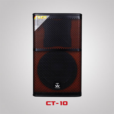 Professional New Powerful Top Pro Passive 2-way Full Range Audio Speaker CT-10