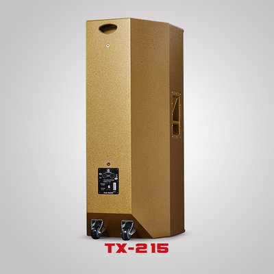 Touring Sound System Professional Dual 15inch Loudspeaker Performance DJ Sounds System TX-215