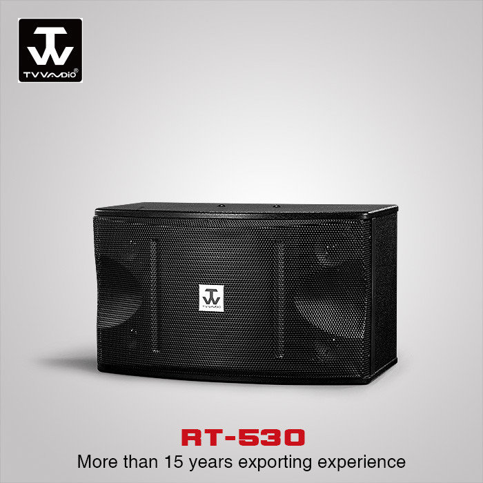 Professional 10 Inch 2-way Pro KTV Karaoke Conference Speaker Audio RT-530