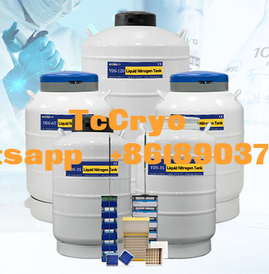 Cryogenic liquid nitrogen semen container_Liquid nitrogen container manufacturer
