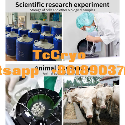 175L liquid nitrogen container frozen sperm container