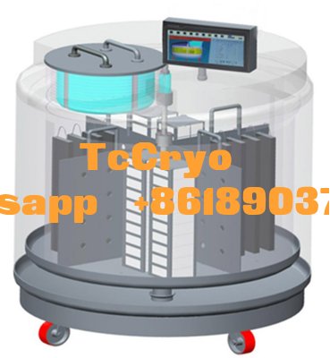 Stainless steel vapor phase liquid nitrogen freezer KGSQ