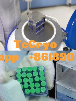 65liter cell freezing container_dewar flask KGSQ