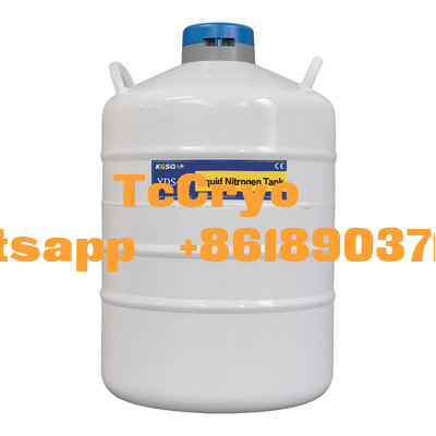 liquid nitrogen cell storage tank yds-30 ln2 vessel In Chile
