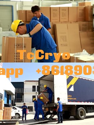 Comoros YDD-750 liquid nitrogen tank for freezing stem cells KGSQ