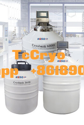 Cyprus small gas liquid phase liquid nitrogen tank YDS-65 biocontainer manufacturer KGSQ