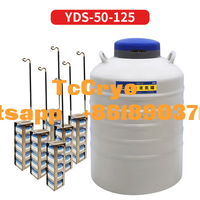 Mauritania liquid nitrogen tank for cell storage KGSQ Cryogenic container YDS-50-125