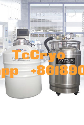 Cyprus small gas liquid phase liquid nitrogen tank YDS-65 biocontainer manufacturer KGSQ