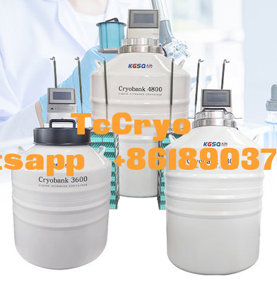 Cyprus small gas liquid phase liquid nitrogen tank YDS-65 biocontainer manufacturer KGSQ