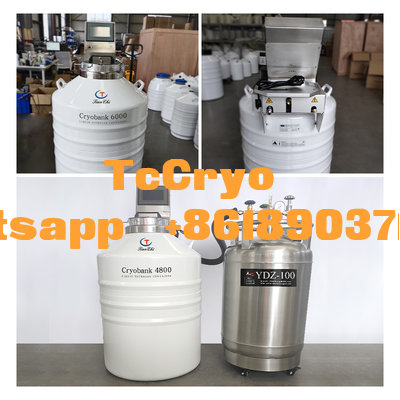 Malawi storage vessels KGSQ vapor phase liquid nitrogen freezer