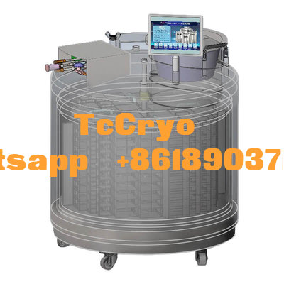 French Polynesia-Stainless Steel Liquid Nitrogen Storage Tank-liquid nitrogen dewar for cell storage