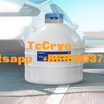 Spain sperm preservation KGSQ horse sperm container