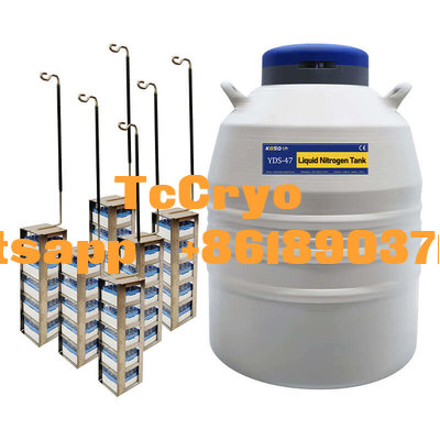 Austria liquid nitrogen tank for laboratory KGSQ liquid nitrogen tank