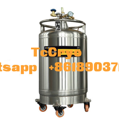 Czech Republic liquid nitrogen supply tank KGSQ dewar 100L for N2 self pressured