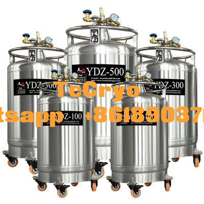 Czech Republic liquid nitrogen supply tank KGSQ dewar 100L for N2 self pressured