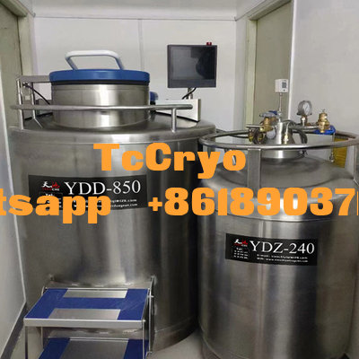 Czech Republic liquid nitrogen supply tank KGSQ dewar 100L for N2 self pressured