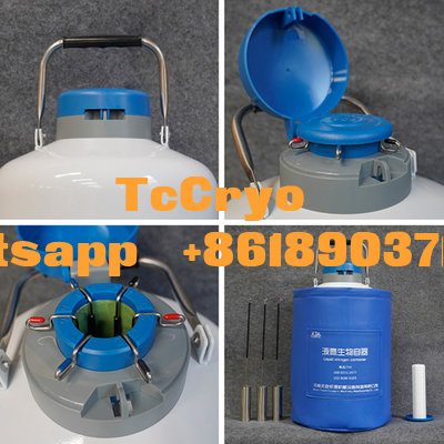 Austria liquid nitrogen tank for laboratory KGSQ liquid nitrogen tank