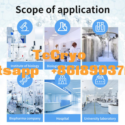 Ireland liquid nitrogen cryogenic tank KGSQ liquid phase vapor phase liquid nitrogen tank