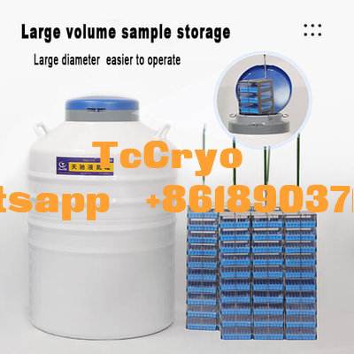 Bulgaria-liquid nitrogen tank cell storage-YDS-47 liquid nitrogen cryogenic tank