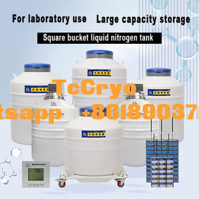 Botswana liquid nitrogen storage vessel KGSQ cryo storage tank