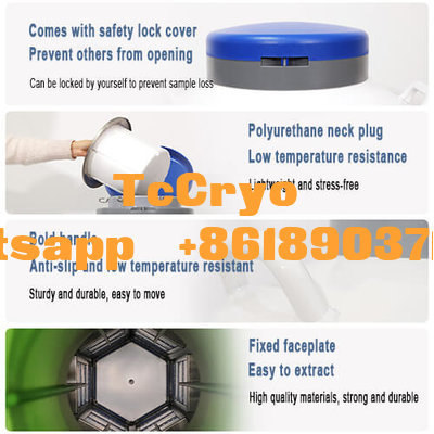 Botswana liquid nitrogen storage vessel KGSQ cryo storage tank