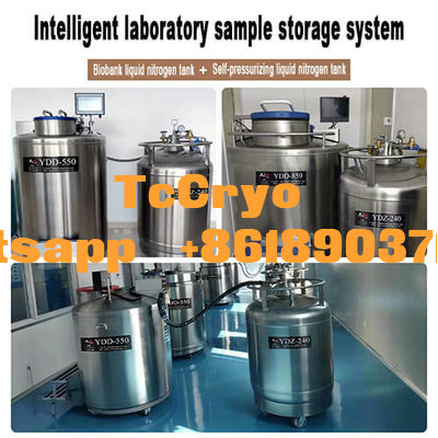 Chile dewar 50L for LN2 self pressured KGSQ liquid nitrogen storage tank