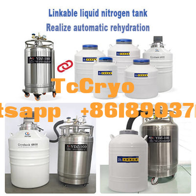 Chile dewar 50L for LN2 self pressured KGSQ liquid nitrogen storage tank