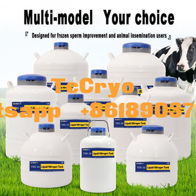 Bulgaria-liquid nitrogen tank cell storage-YDS-47 liquid nitrogen cryogenic tank