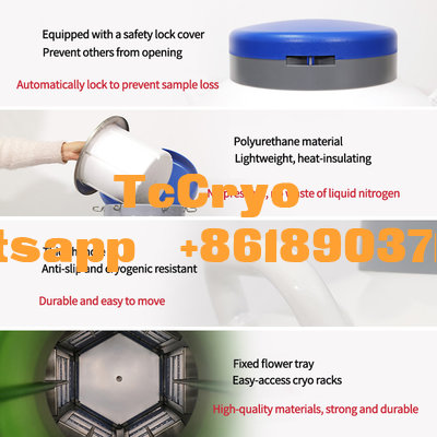 Jordan-liquid nitrogen cell storage tank-liquid nitrogen container KGSQ