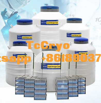 Saudi Arabia-liquid nitrogen cell storage tank-dewar flask liquid nitrogen container
