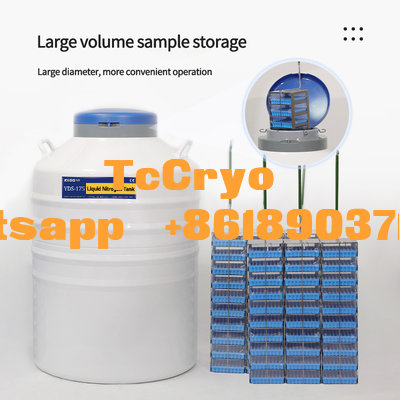 Saudi Arabia-liquid nitrogen cell storage tank-dewar flask liquid nitrogen container
