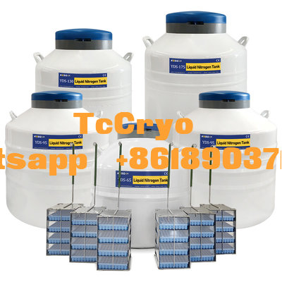 Switzerland-liquid nitrogen cell storage tank-liquid nitrogen storage dewar KGSQ