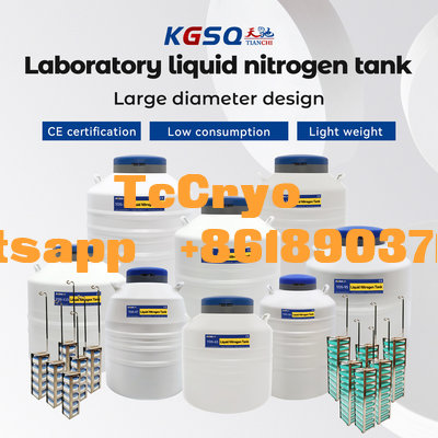 Mexico-ln2 cell storage-liquid nitrogen dewar price