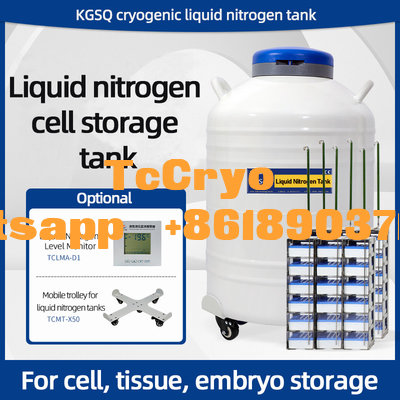 Egypt-liquid nitrogen cell culture storage-nitrogen canister
