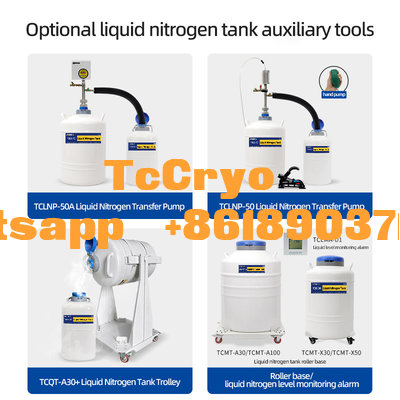 Egypt-liquid nitrogen cell culture storage-nitrogen canister