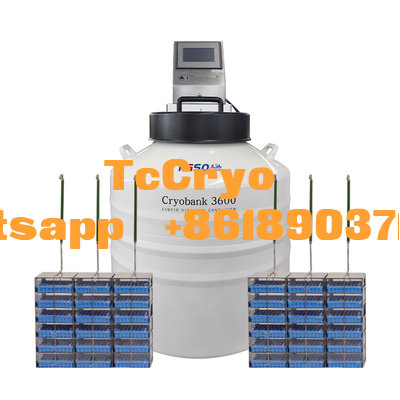 South Korea-vapour phase liquid nitrogen tank-nitogen tank